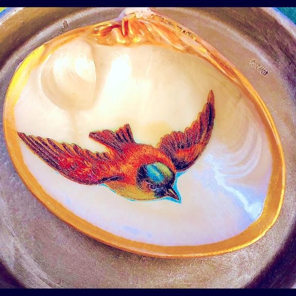 Other | Clam Shell With Bird Design 4 12 Decorative Clam Shell | Poshmark